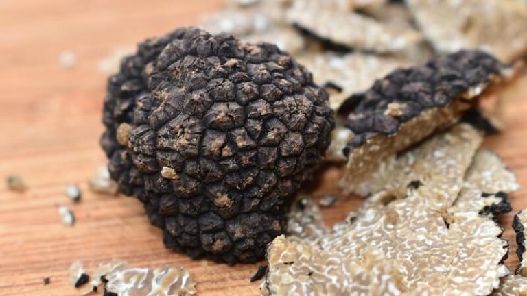 ¿A qué saben las trufas? Descubre cuál es su exclusivo sabor